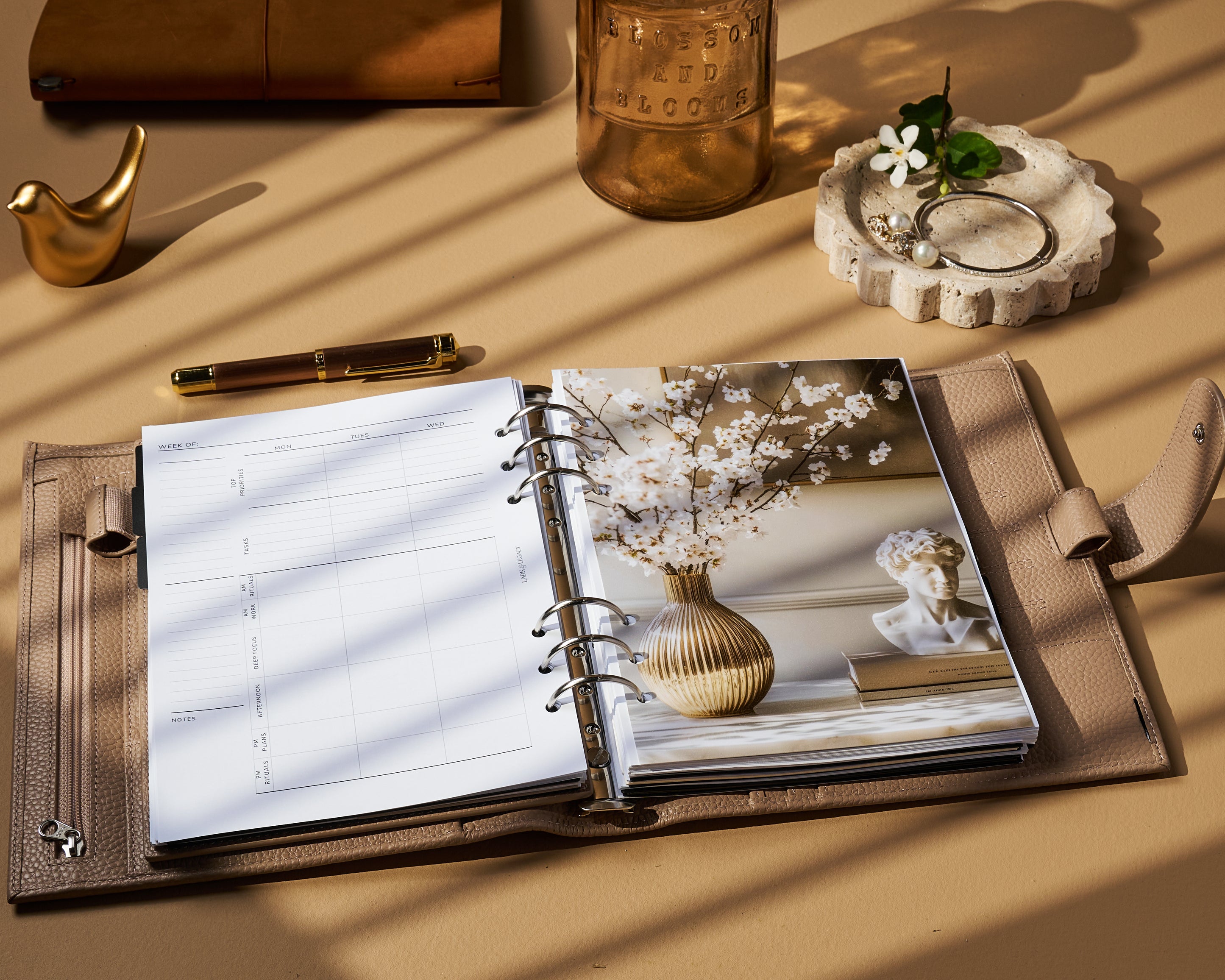 Neoclassic Dashboard – Lark & Legacy