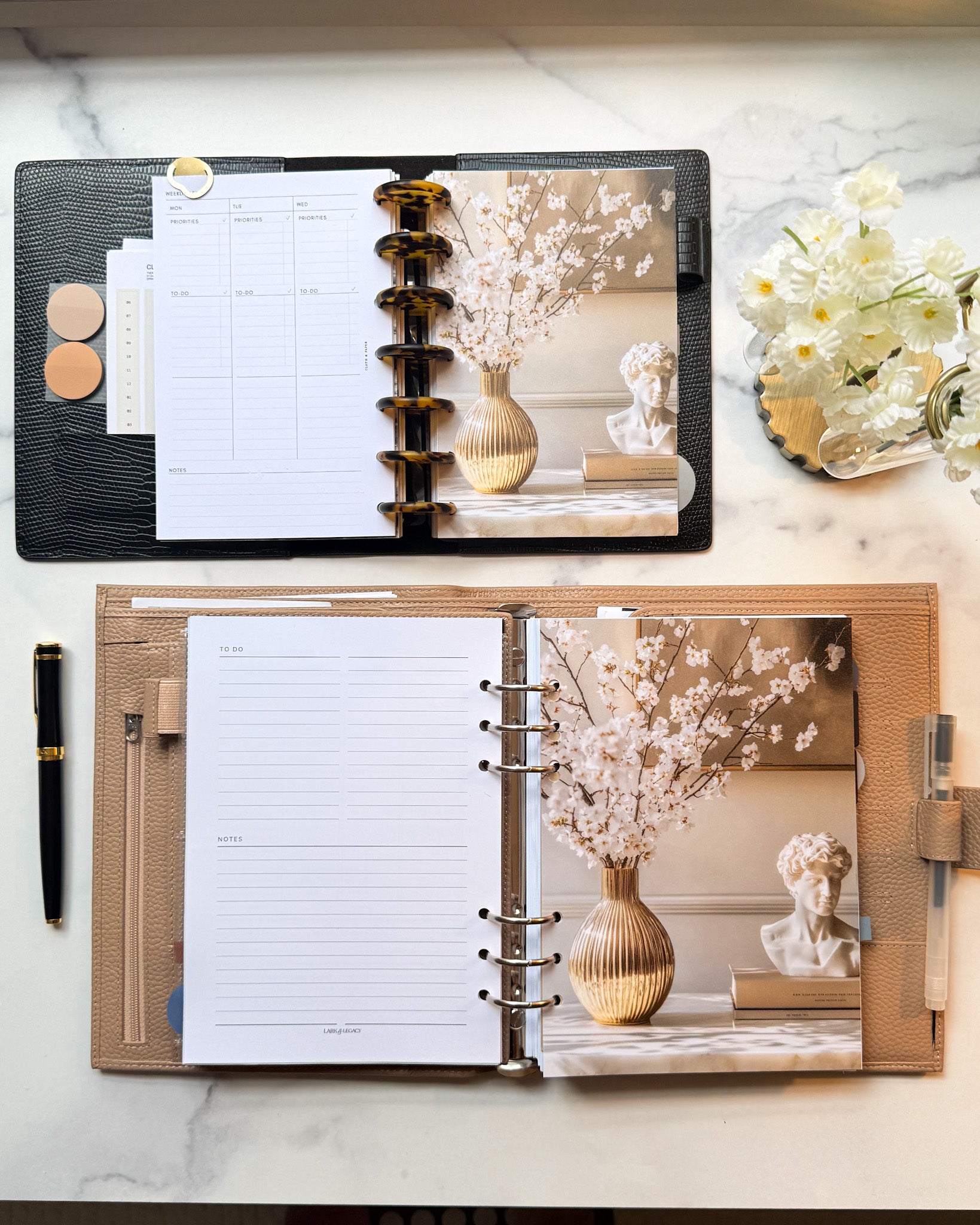 Neoclassic Dashboard – Lark & Legacy